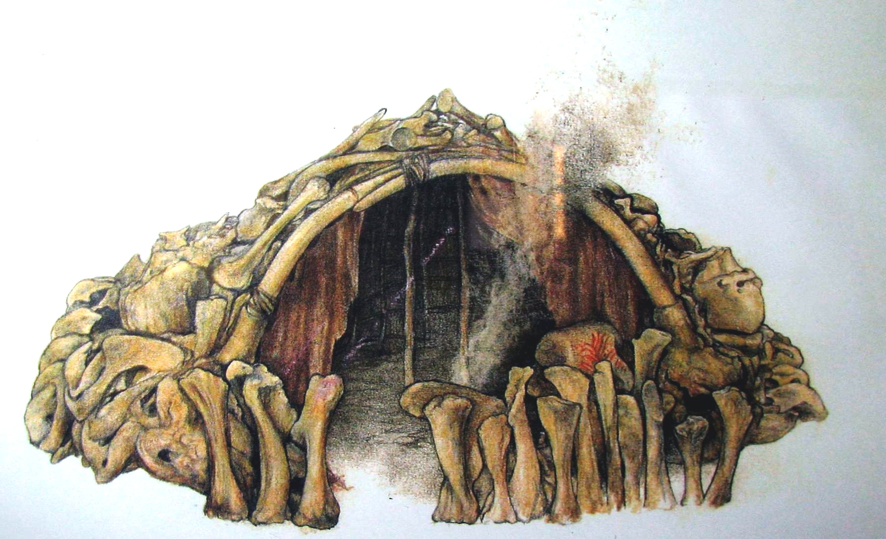 Dolni Vestonice — Arena