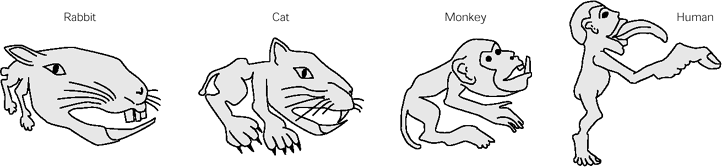 homunculus — Are.na