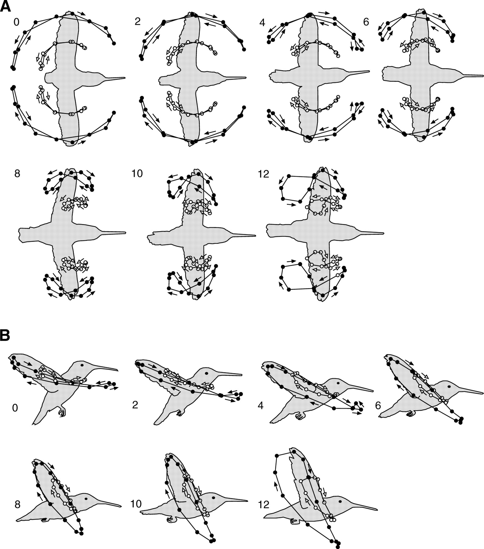 F2 large jpg Are na F2 large jpg Are na