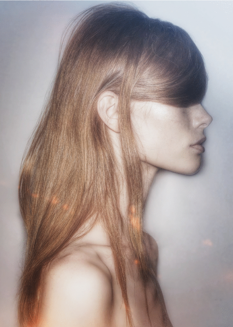 backlit beauties — Are.na